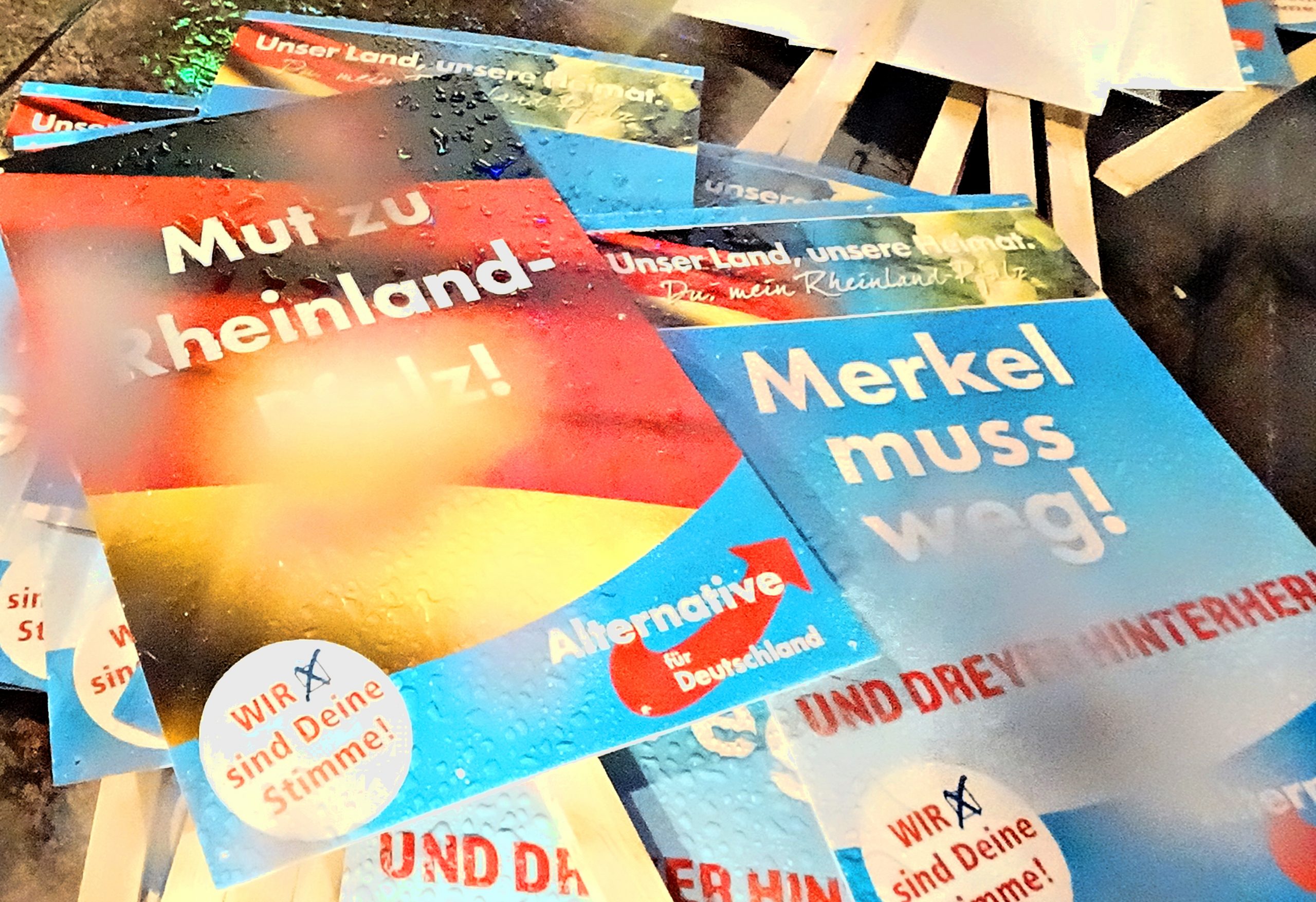 The AfD in the Run-up to the 2021 German National Election – AGI