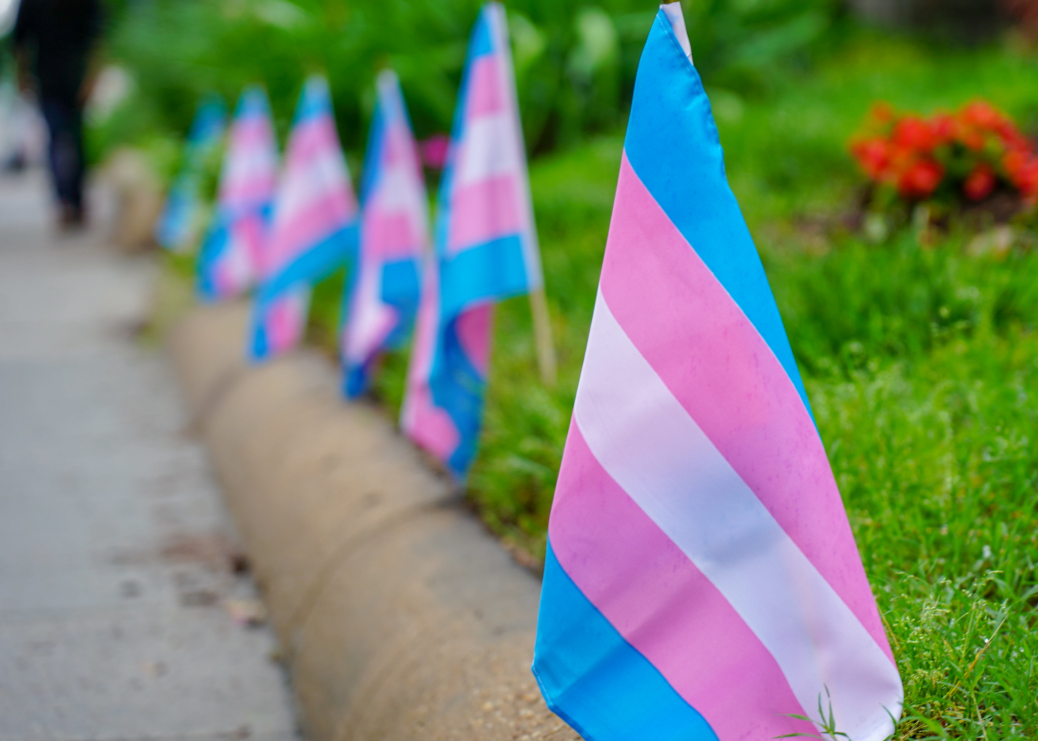 Self-Determination Act Creates New Rights for Transgender People in ...