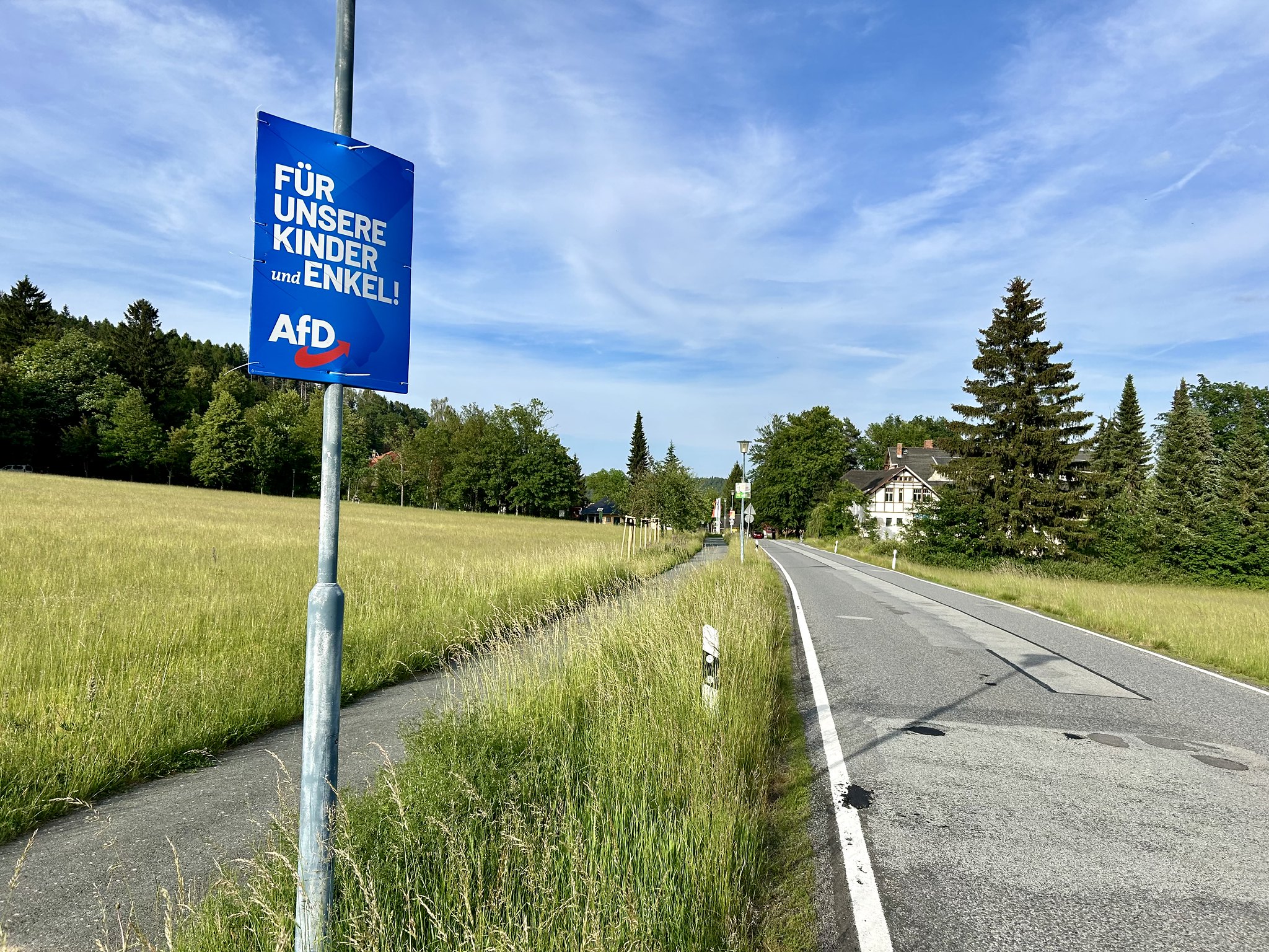 Understanding the Alternative for Germany (AfD) – AGI